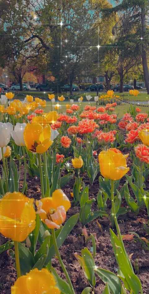 View Nancy Stealer (nancystealer) OnlyFans 153 Photos and 32 Videos ...