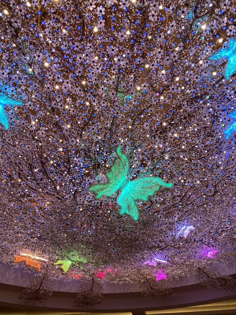 View nickygreyy OnlyFans content for free - models-gallery.com